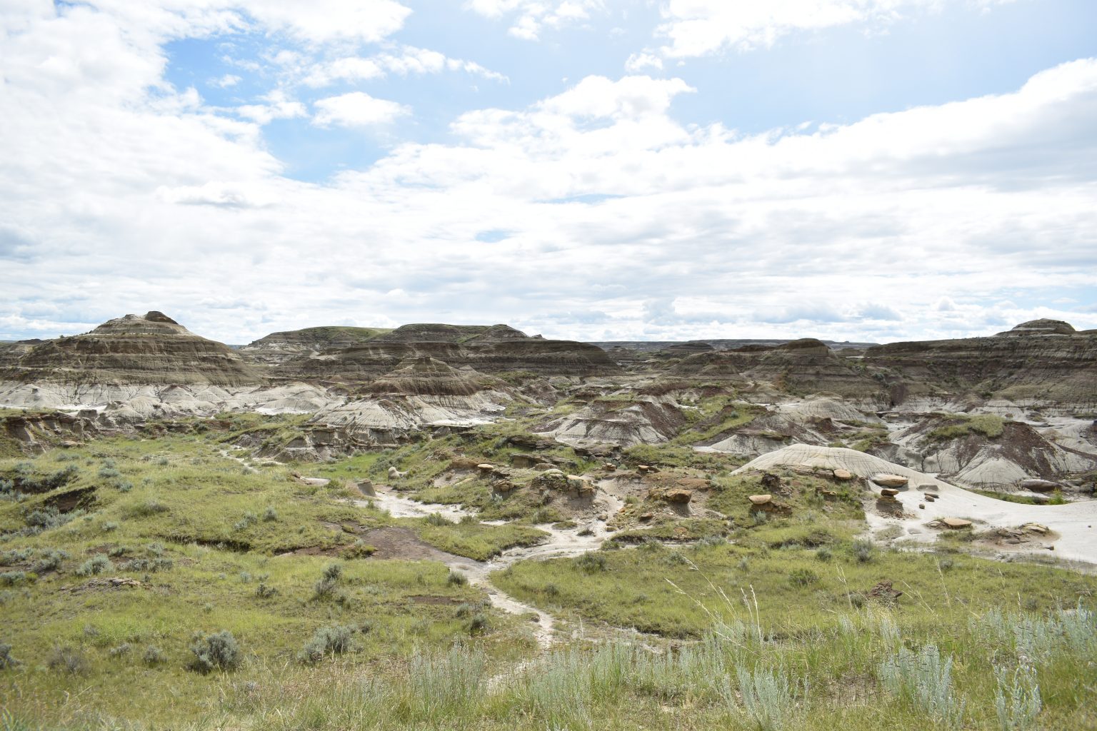 United Conservative Party of Alberta | Official Website